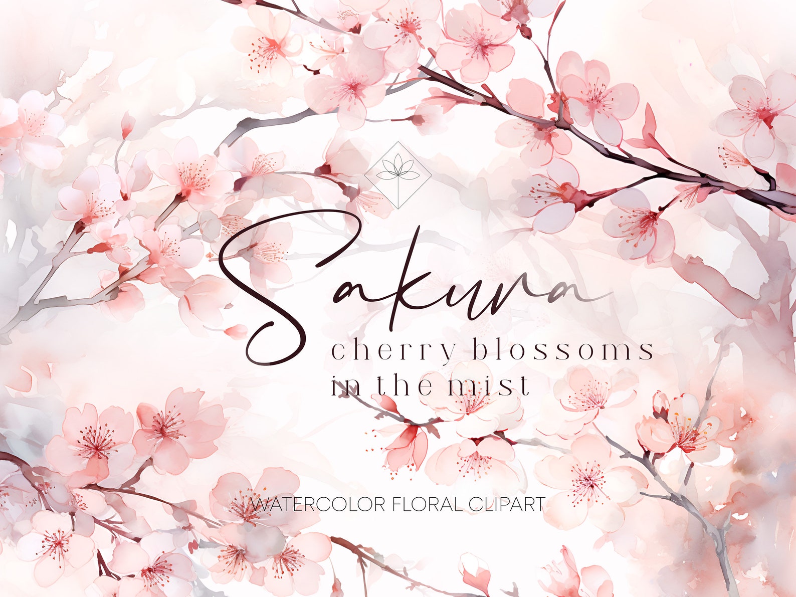 Watercolor Cherry Blossoms, Cherry Blossoms Clipart, Sakura Clipart ...