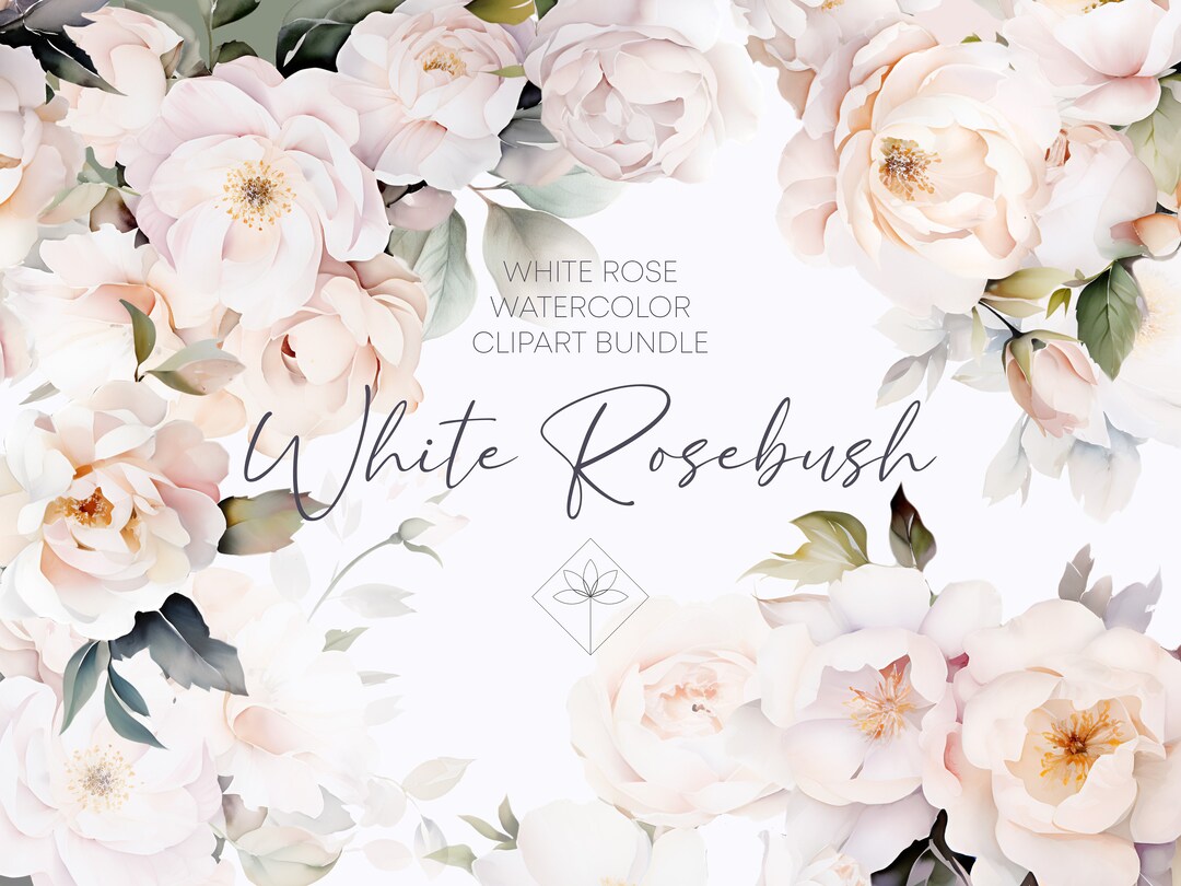 Watercolor Floral Clipart, Watercolor White Roses Clipart, White Rose ...