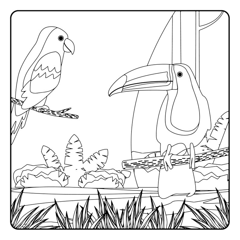 Birds Coloring Worksheet Bundle for Kids, Kids Activity Worksheets ...