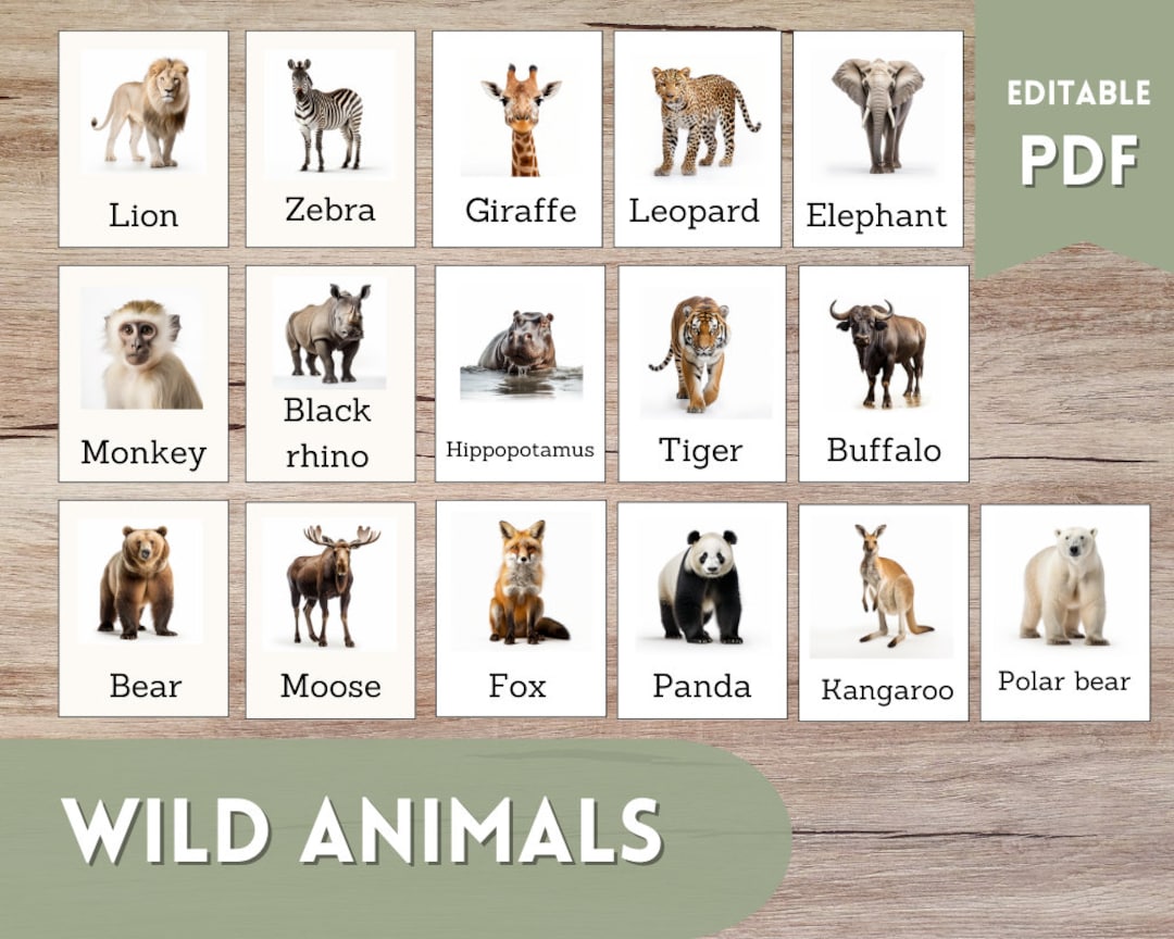 Wild Animal Printable Flash Cards Learning Cards Montesorri - Etsy