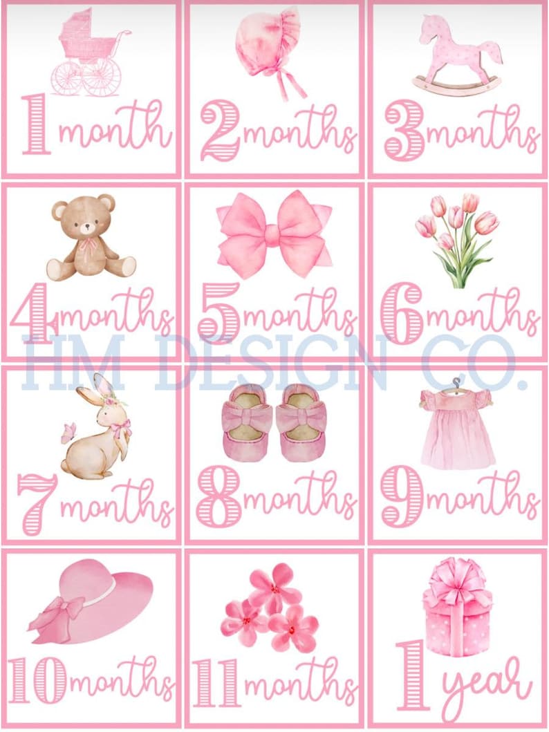Baby Girl Milestone Cards | Printable File, Digital Download | 13 Cards ...