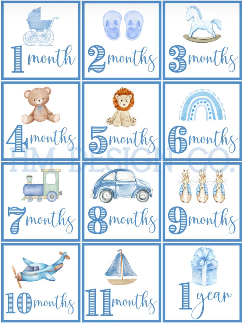 Baby Boy Milestone Cards Printable File, Digital Download 13 Cards, 1 ...