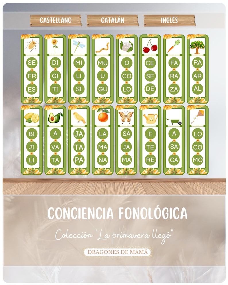 Imprimibles Tarjetas De Conciencia Fonológica Primavera. - Etsy