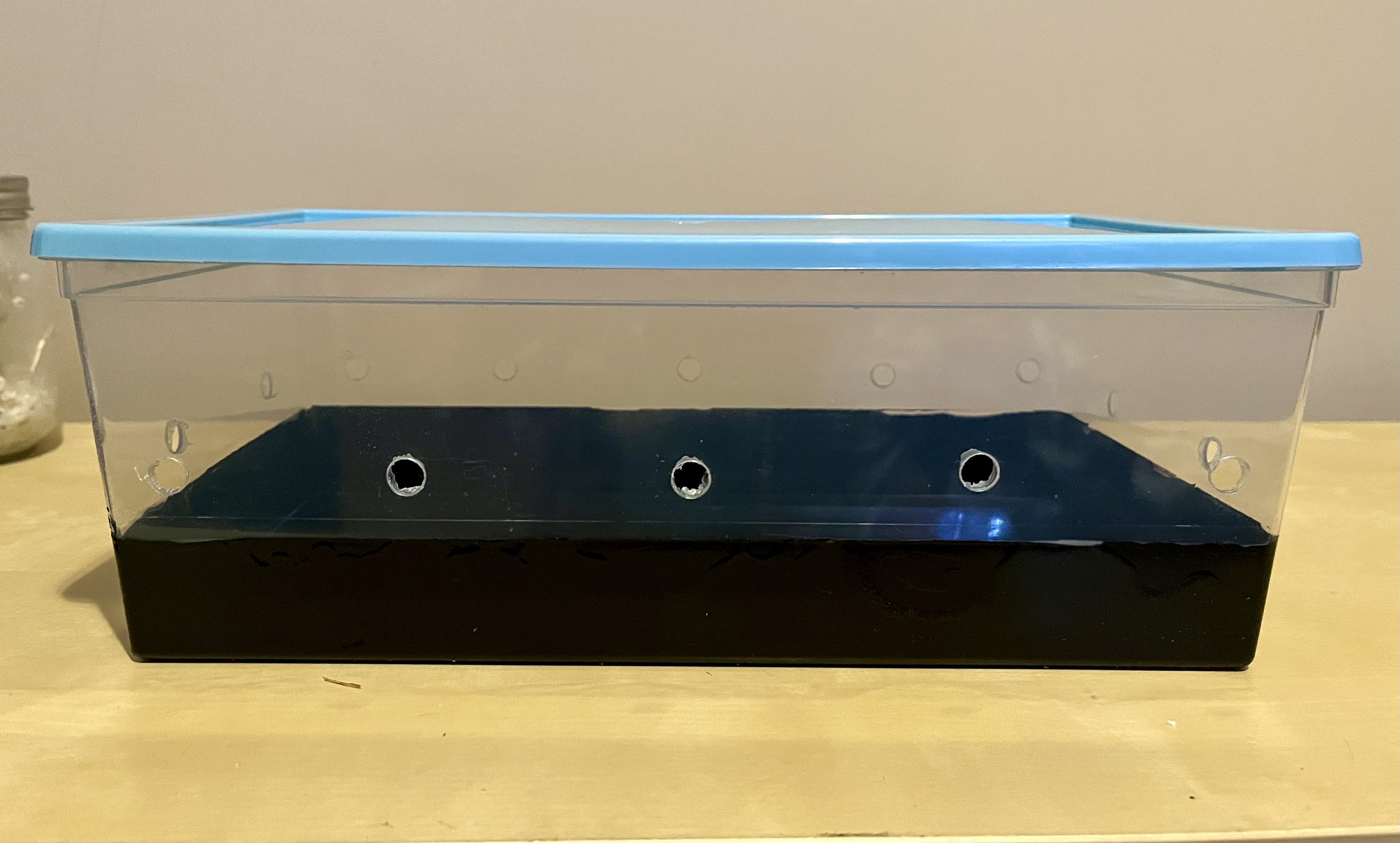 Mini Monotub Double Chamber for Growing Mushrooms - Etsy