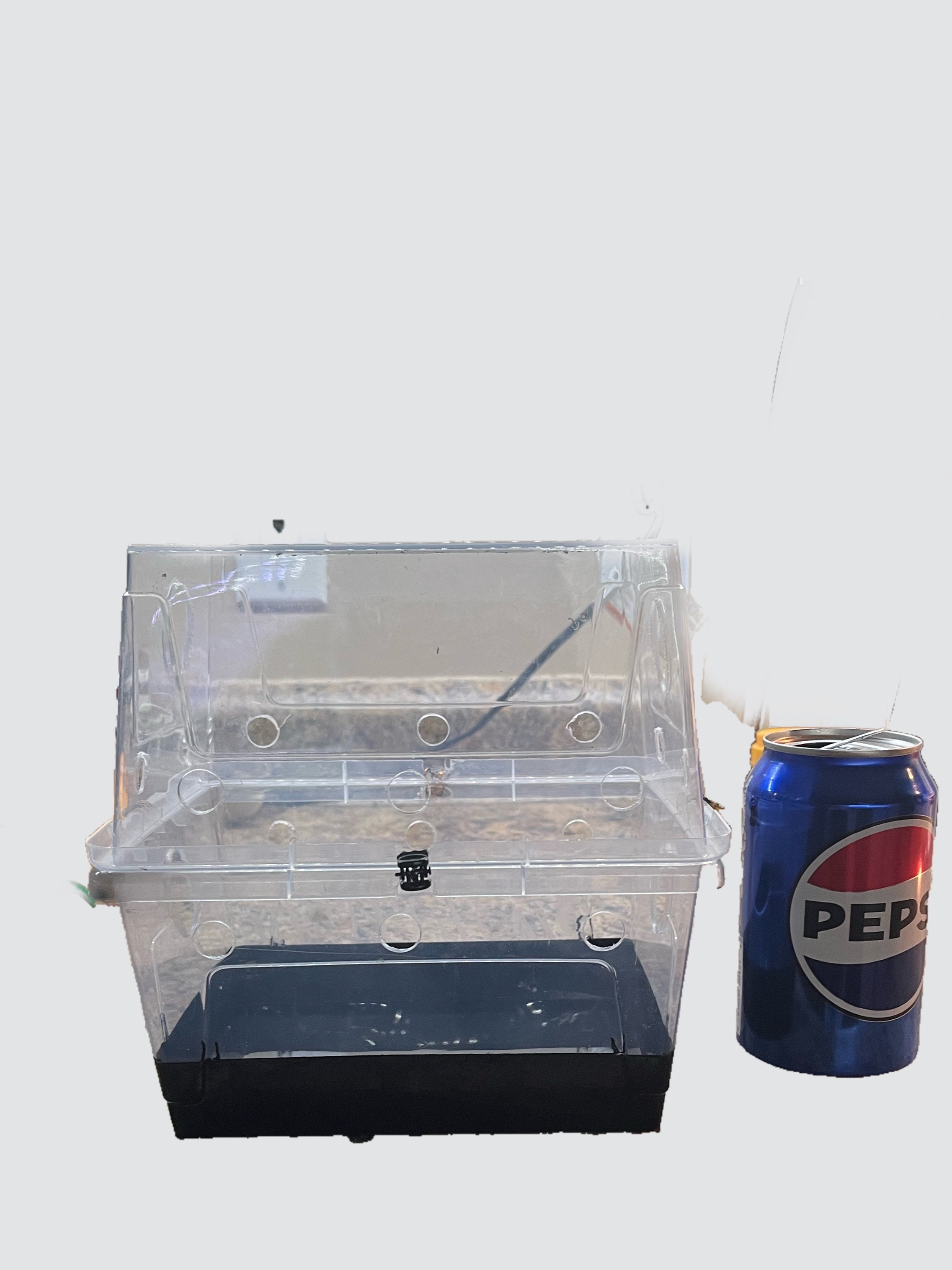 Mini Monotub Double Chamber for Growing Mushrooms - Etsy Australia