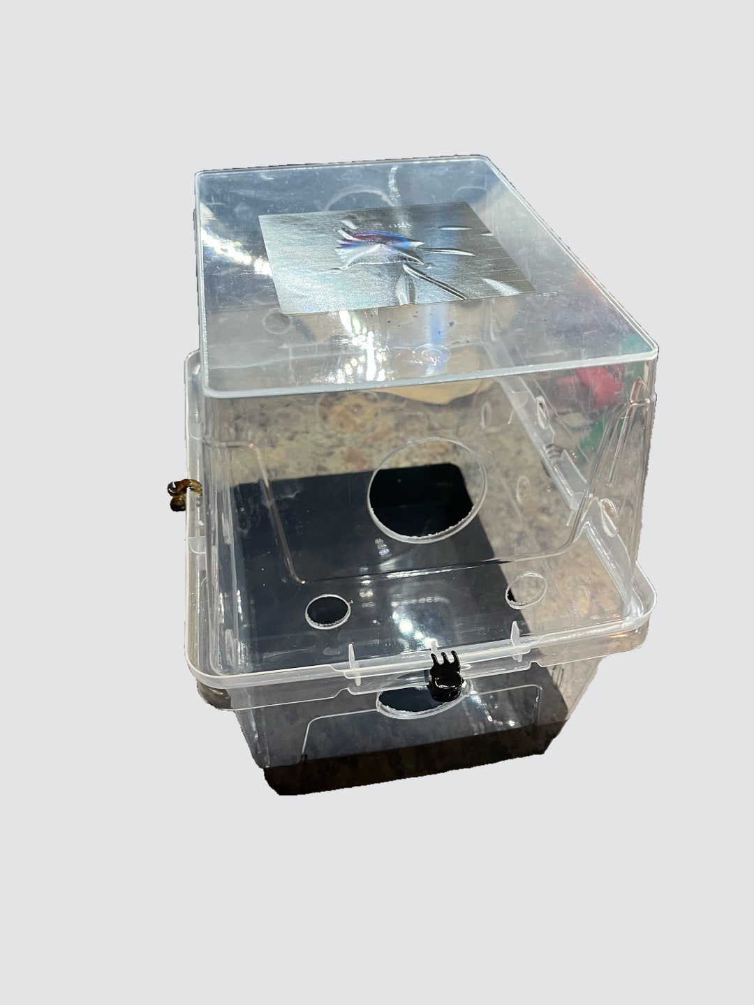 Mini Monotub Double Chamber for Growing Mushrooms - Etsy Australia