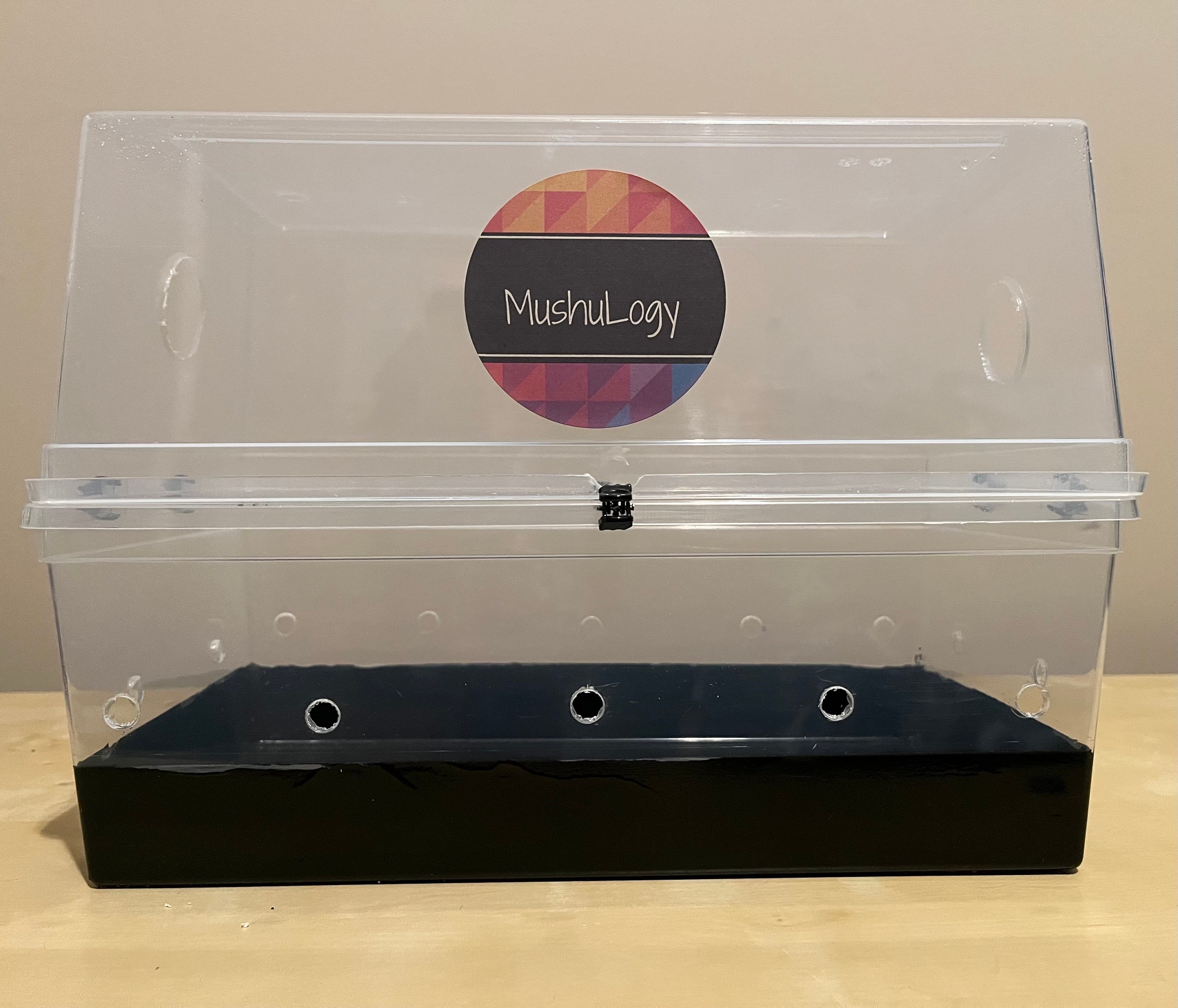 Mini Monotub Double Chamber for Growing Mushrooms - Etsy