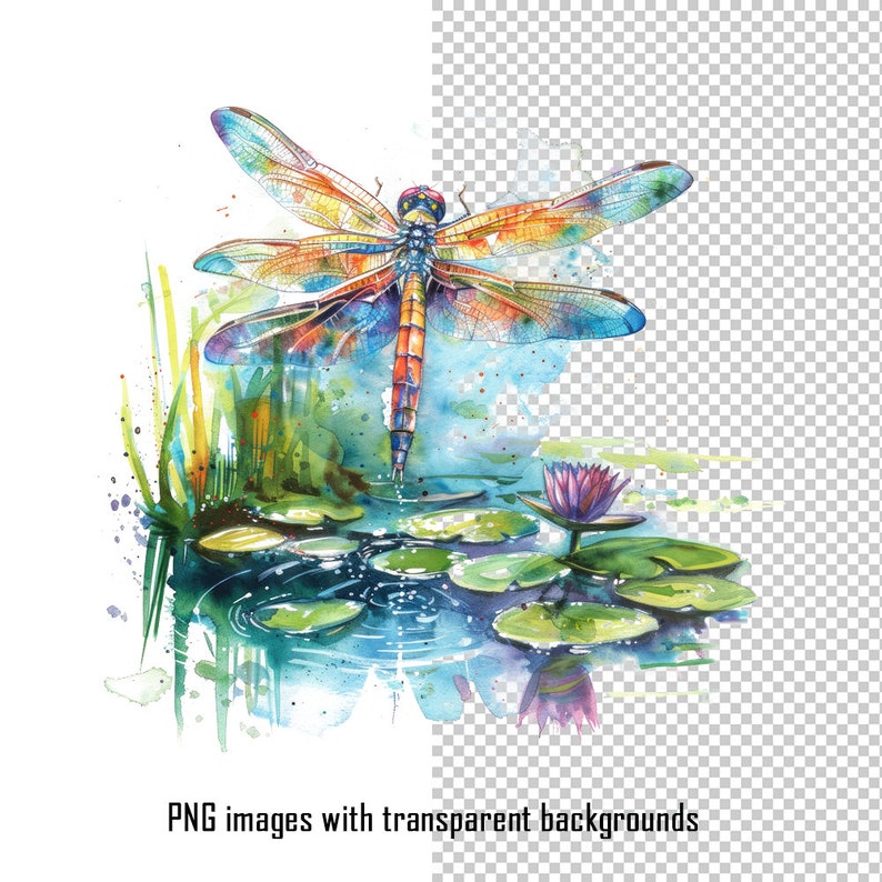 Watercolor A Vibrant Dragonfly Hovering Above Tranquil Summer Pond ...