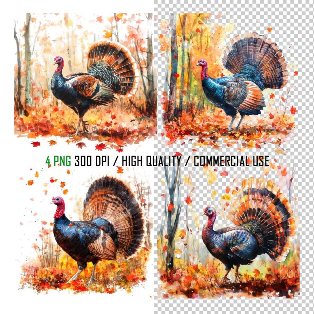 A Wild Turkey Strutting Through an Autumn Forest, With Vibrant Red ...