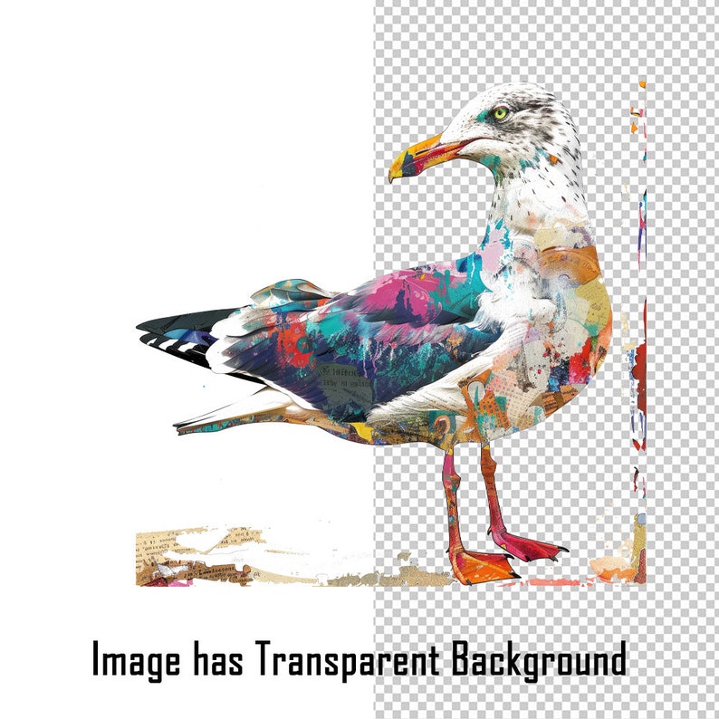 Whimsical White Seagull Clipart,watercolor White Seagull Png,funny ...