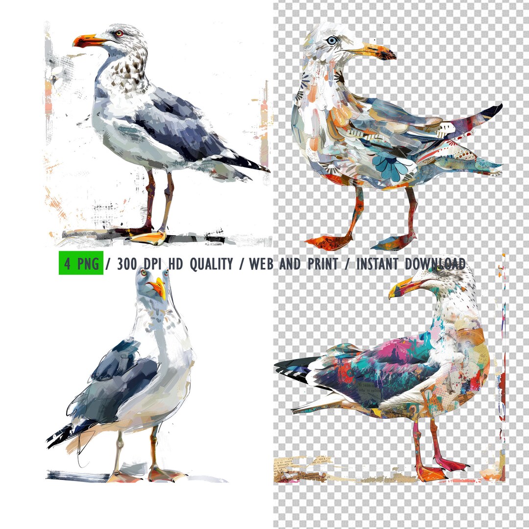 Whimsical White Seagull Clipart,watercolor White Seagull Png,funny ...