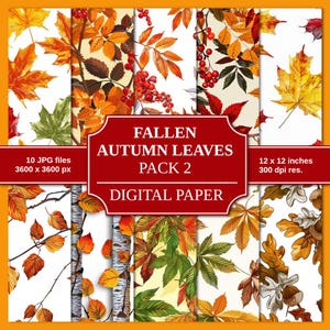 Autumn Leaves Digital Scrapbook Paper | Fall Background JPG in Light ...