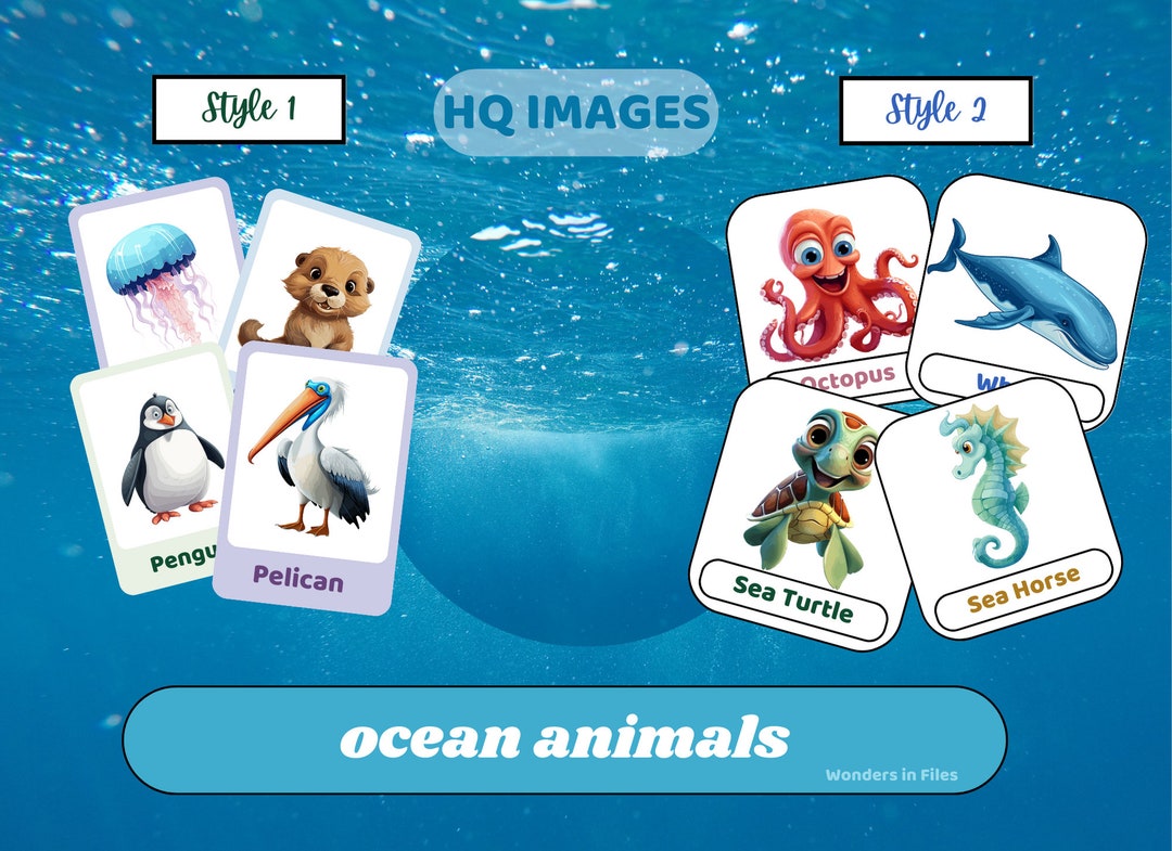 OCEAN ANIMALS • 22 Montessori Cards • Flash Cards PDF Printable Cards ...