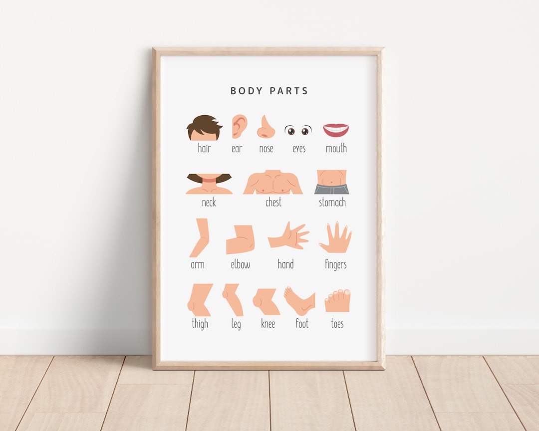 Body Parts, Educational Poster, Montessori Classroom Decor, Montessori ...