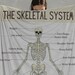 Funny Anatomy Skeleton Blanket, Skeletal System Blanket, Science ...