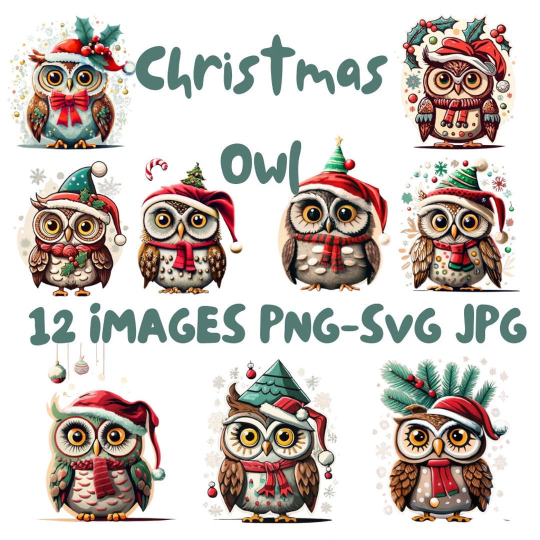 Christmas Owl Pngchristmas Owl Printowl Clipartwinter Owls - Etsy