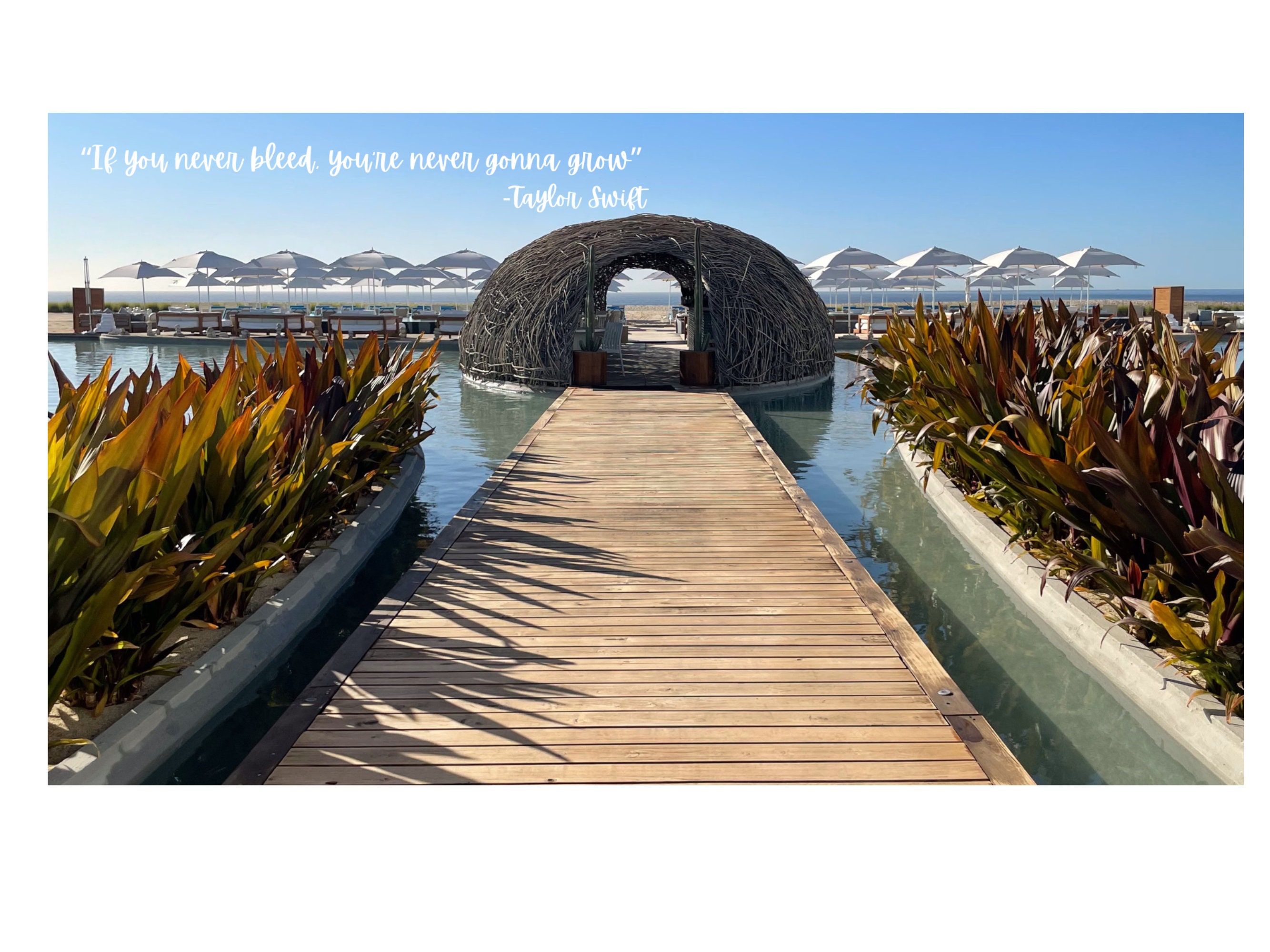 Swiftie Laptop Wallpaper, Taylor Swift Lyrics, Sunset Photo, Aesthetic ...