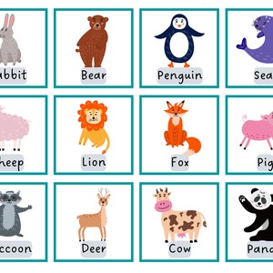 ANIMALS 48 Editable Montessori Cards Flash Cards Nomenclature ...