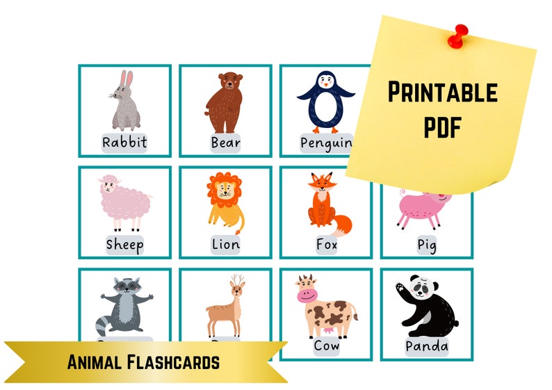 ANIMALS 48 Editable Montessori Cards Flash Cards Nomenclature ...