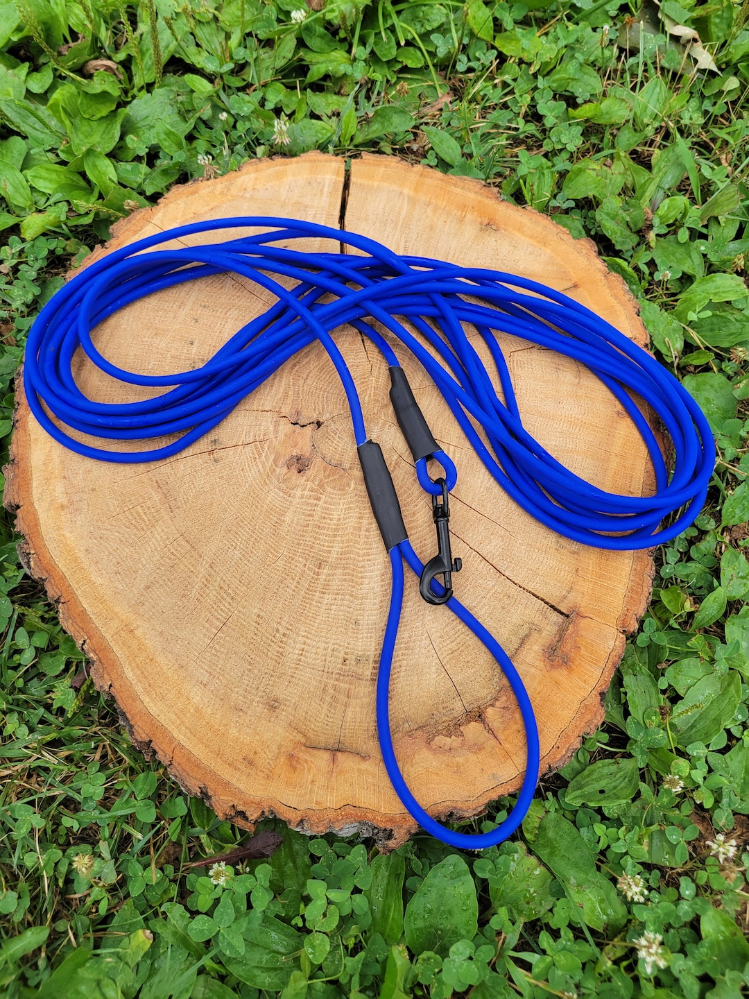 Waterproof Biothane® Rope Long Line - Training Leash - 10ft, 15ft, 20ft ...