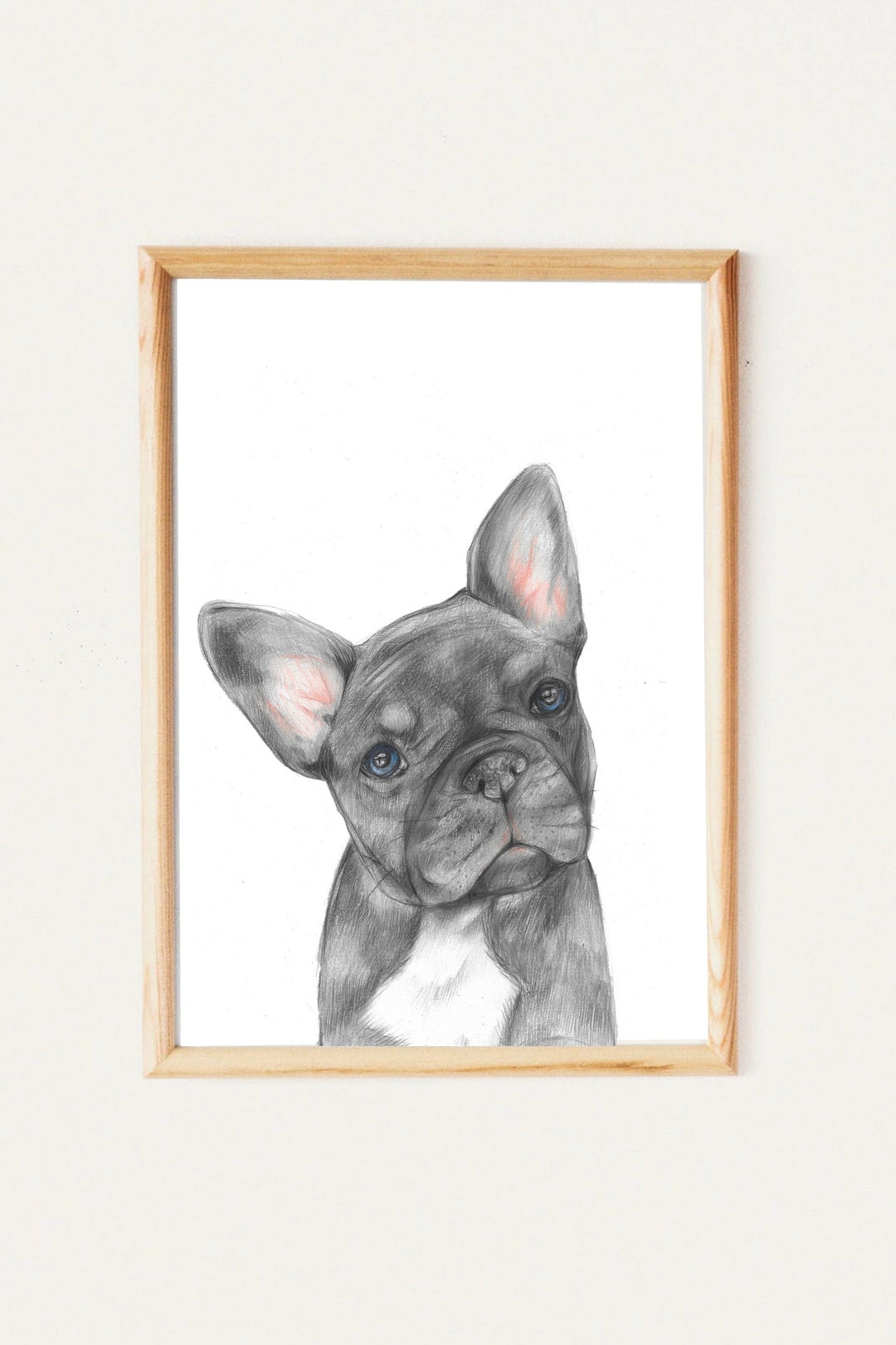 Custom Coloured Pencils Pet Portrait. A4 Made to Order Art. Dog ...
