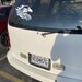 Pack of 2 - Eagle Decal - Weather Resistant Vinyl - Outdoors Indoors ...