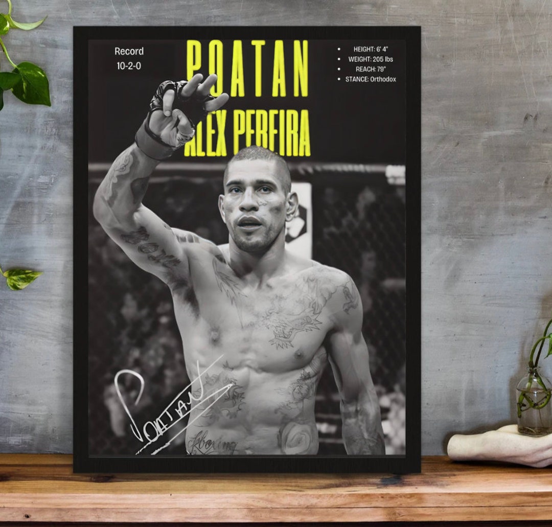 Alex Pereira Poster, UFC Poster, Poster Ideas, Brazillian Poster ...