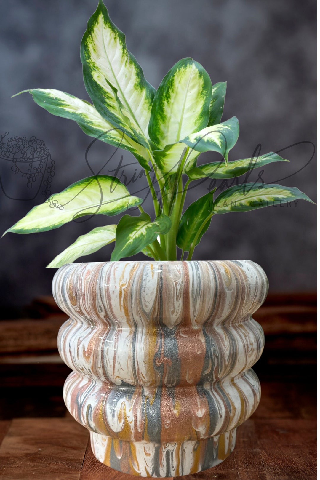 Ceramic Bubble Plant Pot for House Plants Metallic Flower Pot Gift for ...