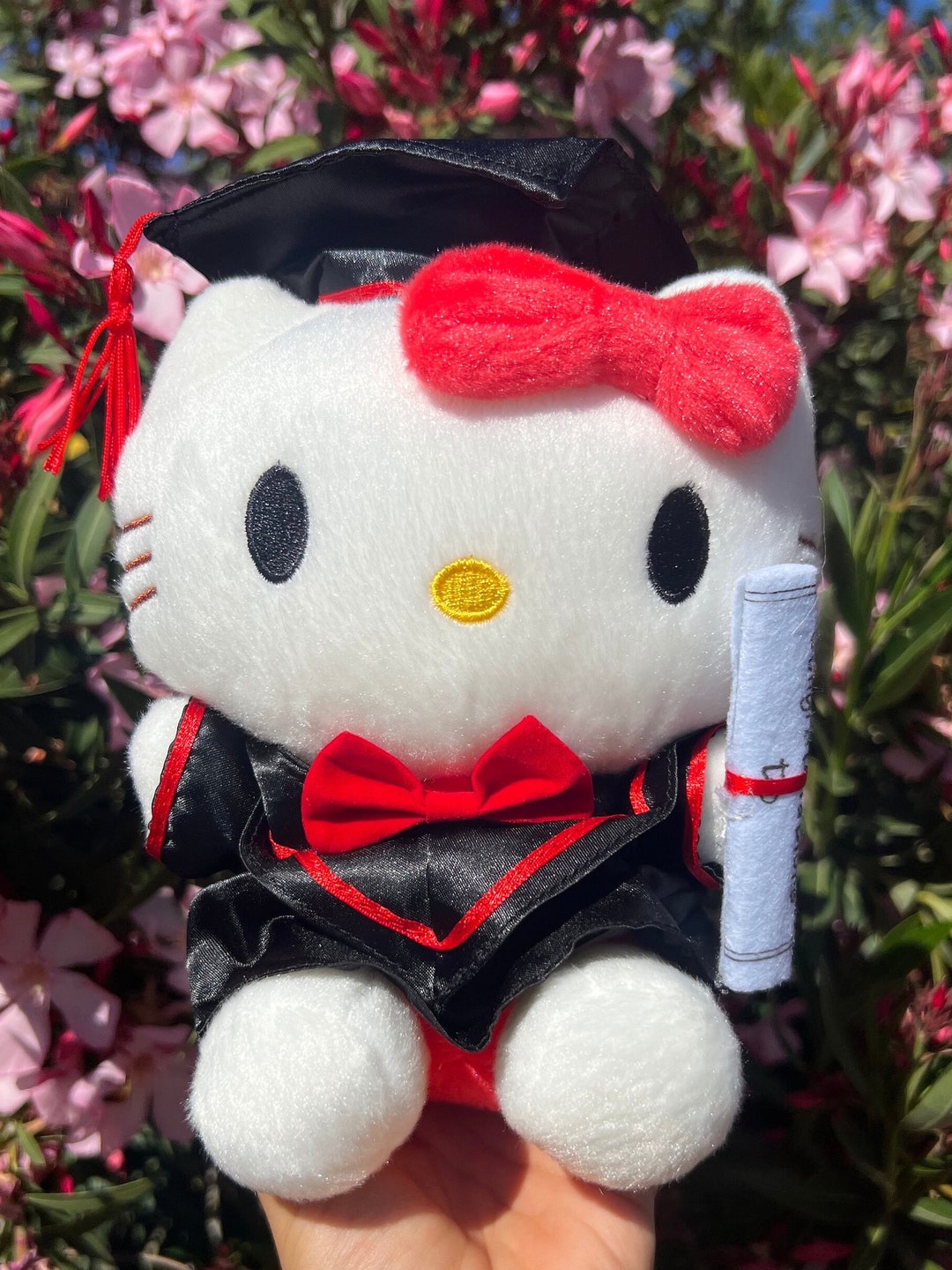 Sanrio Hello Kitty Graduation Kawaii Plushie - Etsy