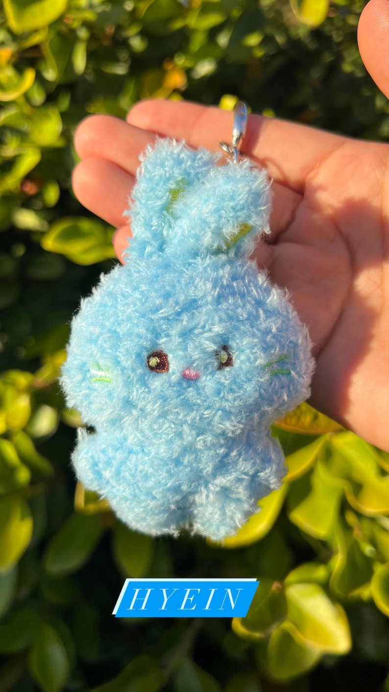 Newjeans K-pop Bunny Plushie/binky Bong Plushie - Etsy