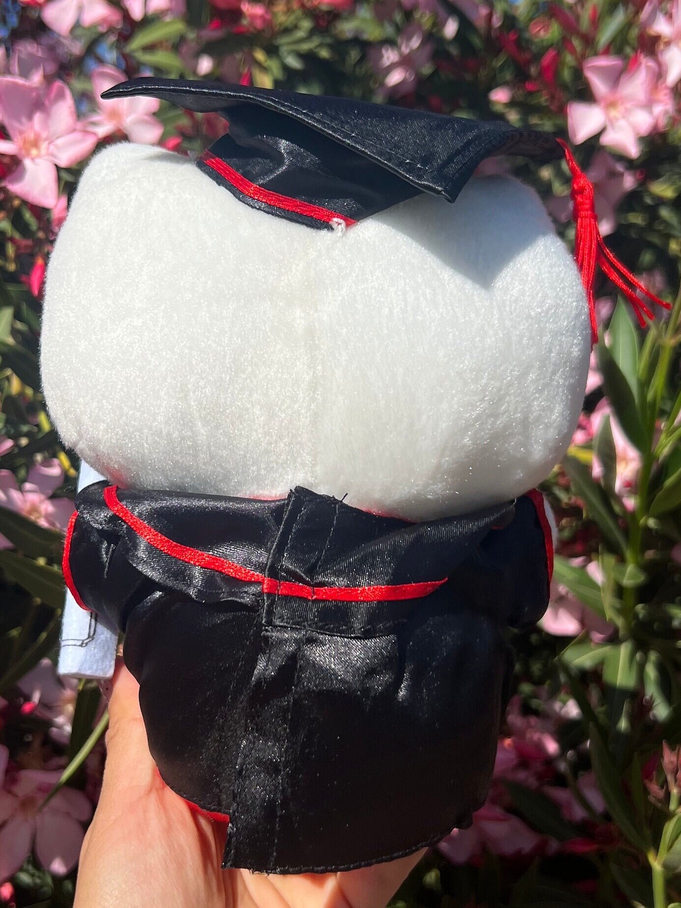 Sanrio Hello Kitty Graduation Kawaii Plushie - Etsy