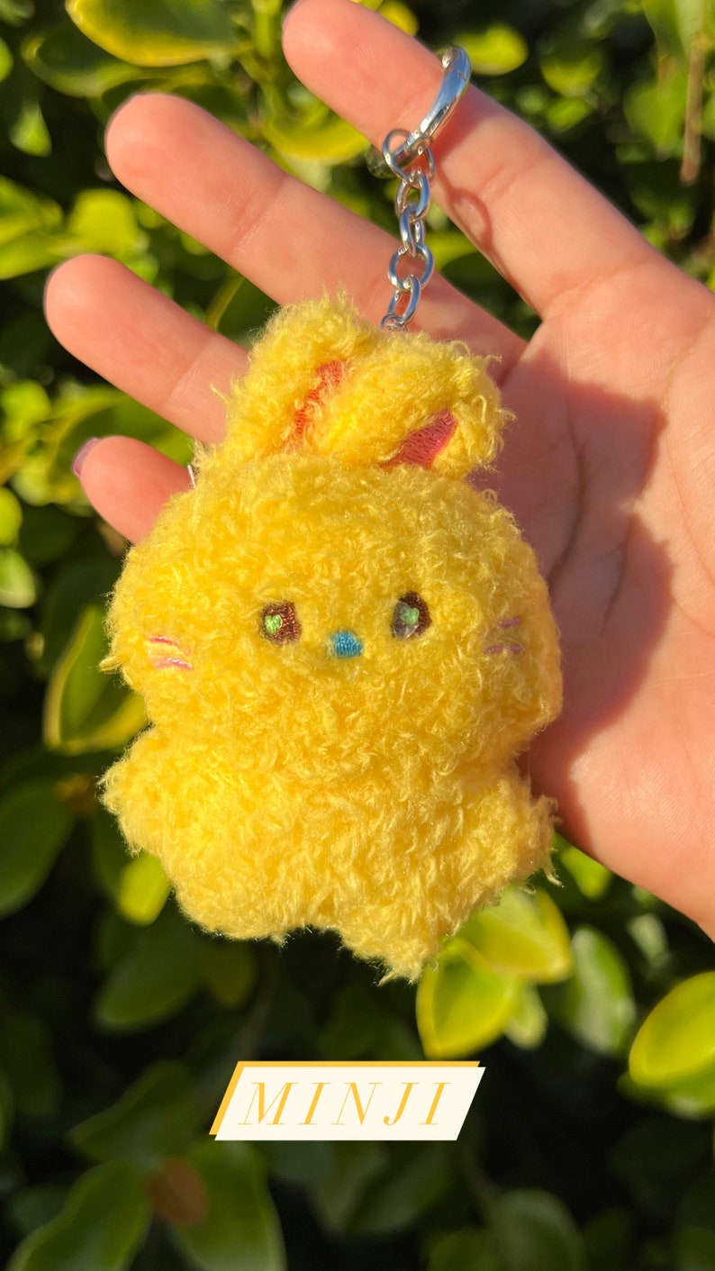 Newjeans K-pop Bunny Plushie/binky Bong Plushie - Etsy