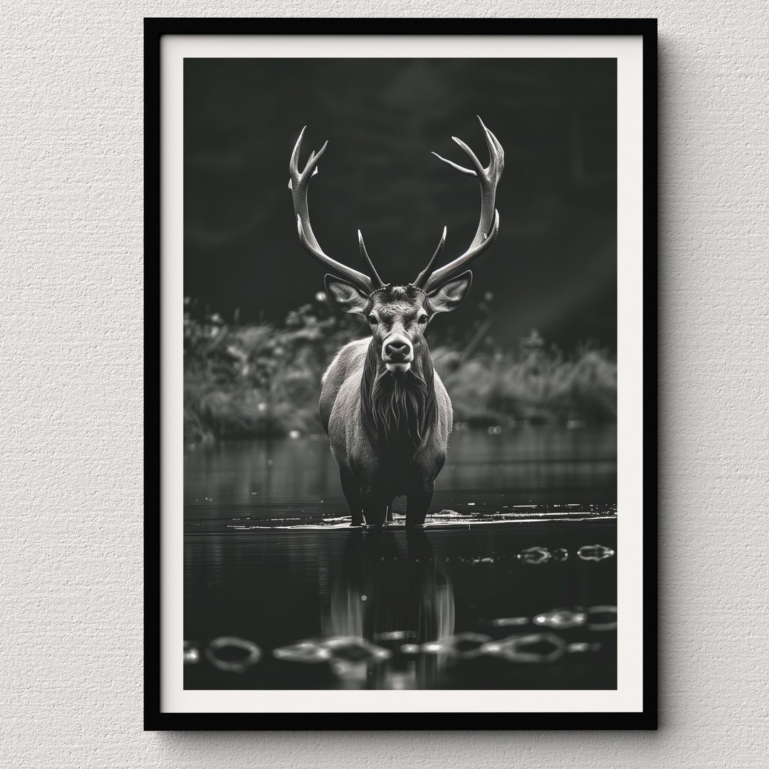 PRINT Elk Realistic Art | Black and White Elk | Wall Art for the Animal ...