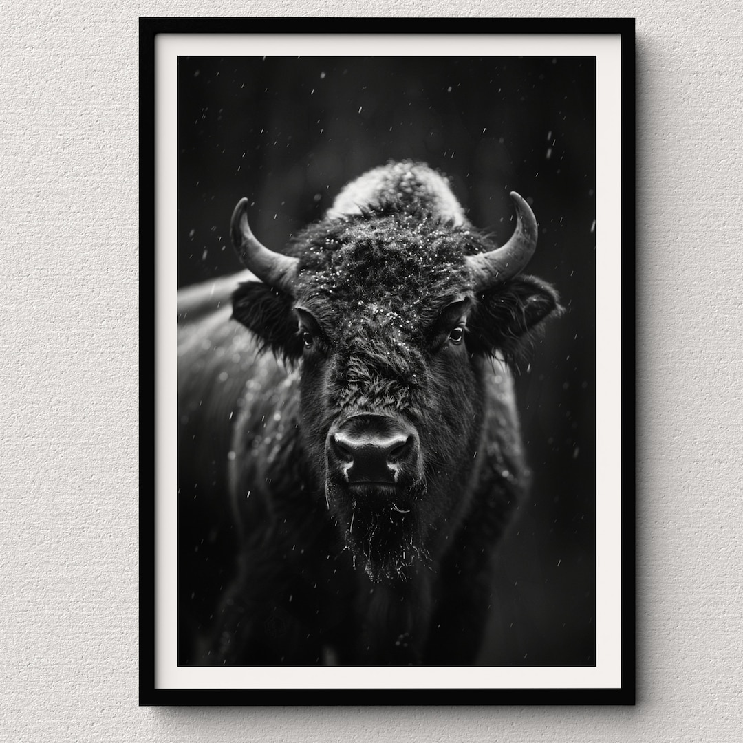 PRINT Bison Realistic Art | Black and White Bison | Wall Art for the ...