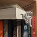 Dexter the Rat - Etsy