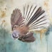 Bird Wall Art Print, New Zealand Fantail, Unique Eco Friendly Wildlife ...