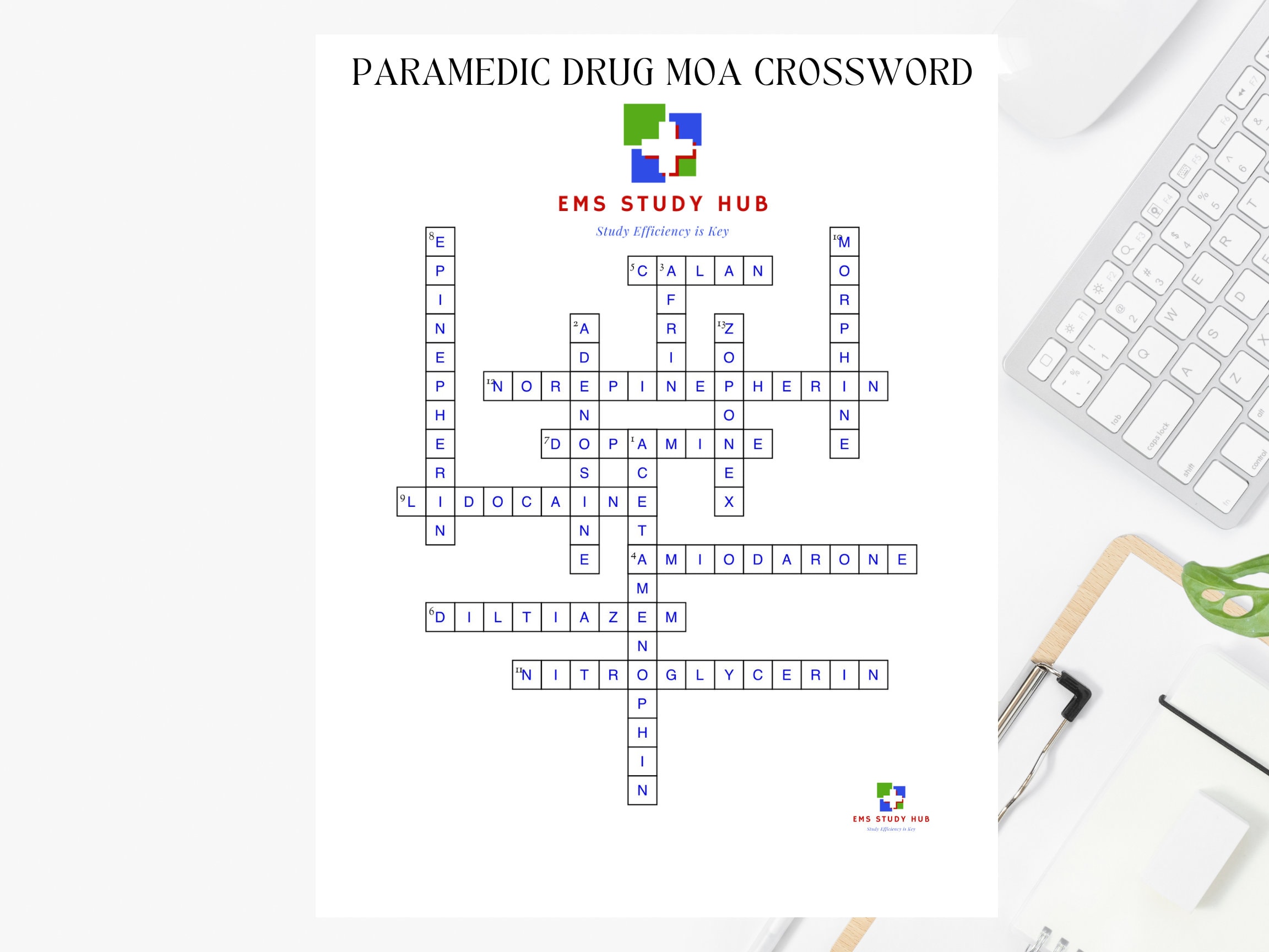 Paramedic Drug Mechanism of Action Crossword Puzzle - Etsy