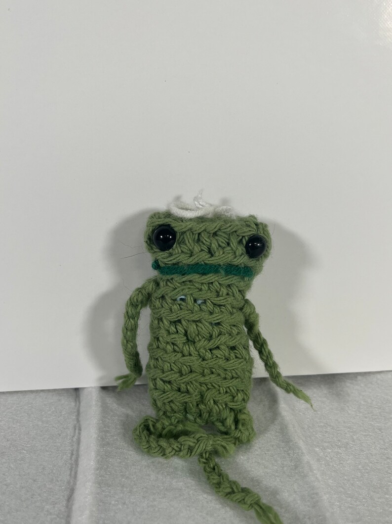 Robert Fantastic Frog - Etsy