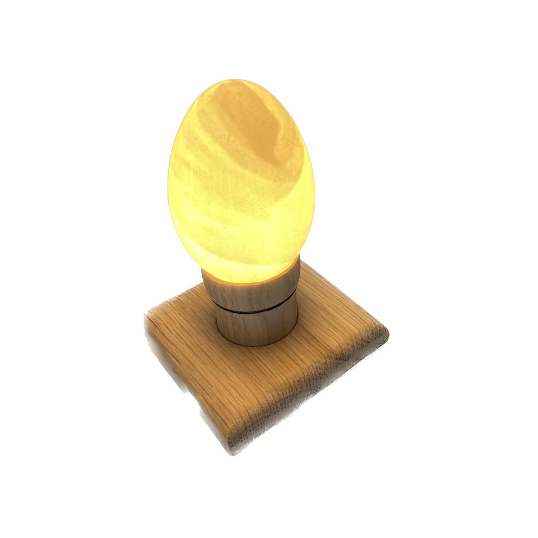 Goose Egg Shell Lamp With Wooden Base - Etsy