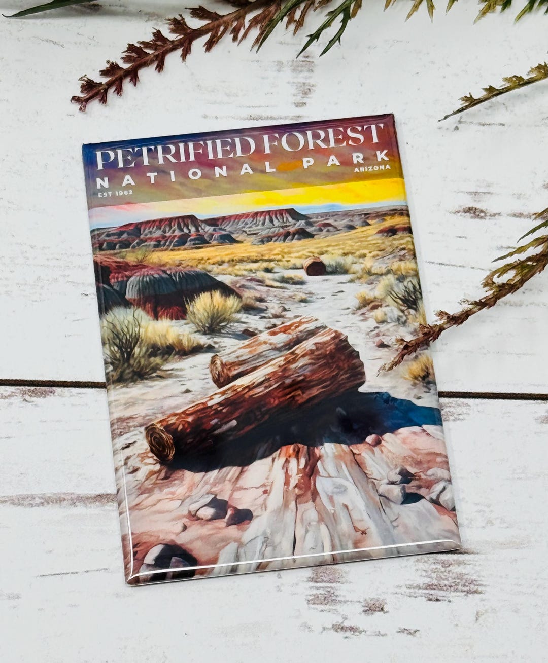 Petrified Forest|national Park Magnets|gifts|small Trinkets|stocking ...