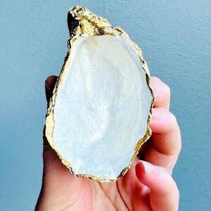 Oysters Shells & Clams for Beach Wedding - White, Peach and Clam ...