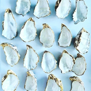Oysters Shells & Clams for Beach Wedding - White, Peach and Clam ...