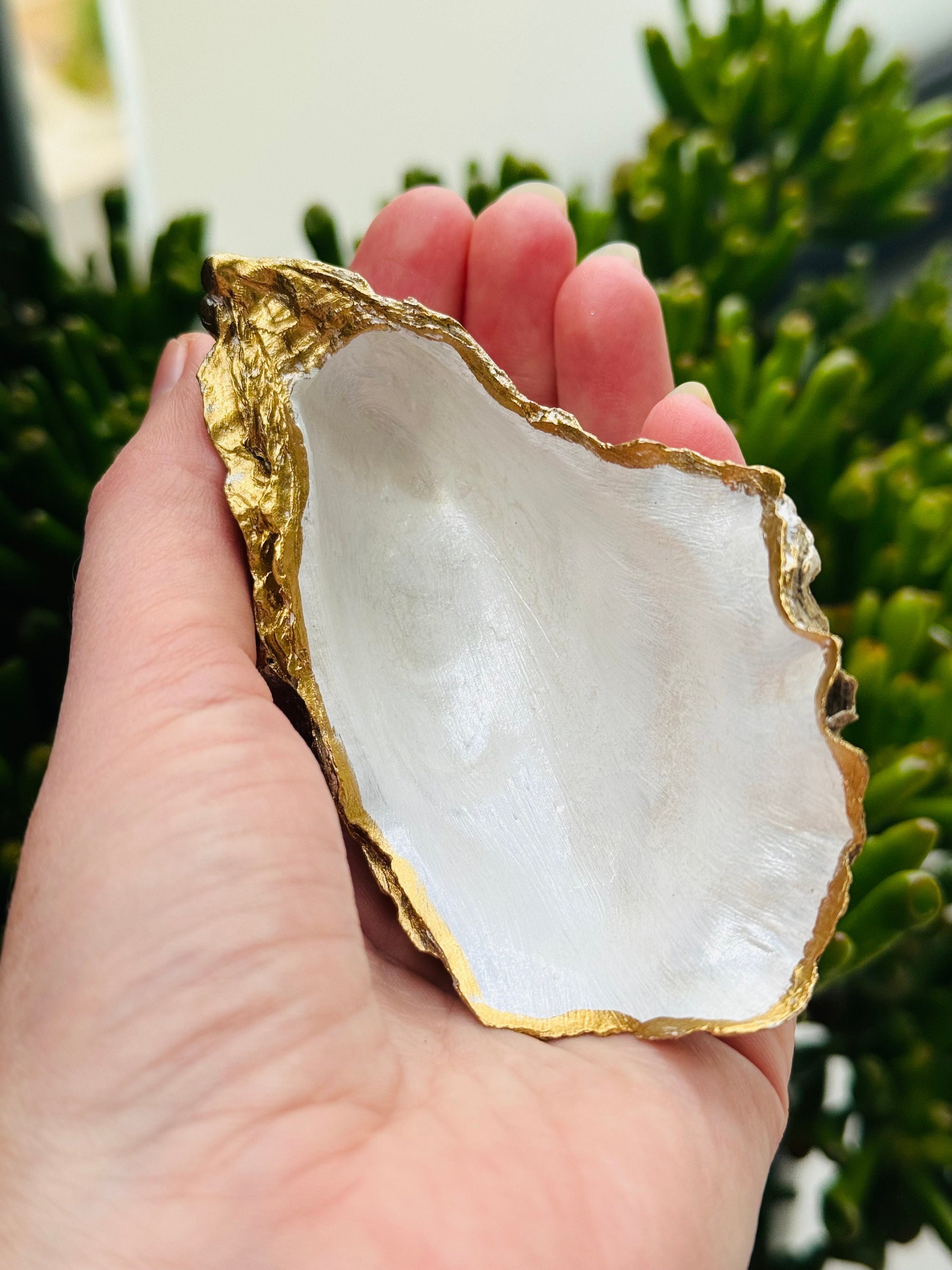 Oysters Shells & Clams for Beach Wedding White, Peach and Clam Patterns ...