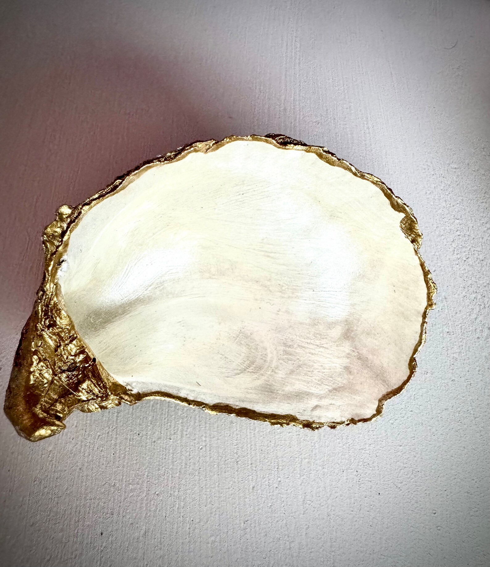Oyster Shell Hamptons Style Coastal Home Decor Beige and White Clam ...