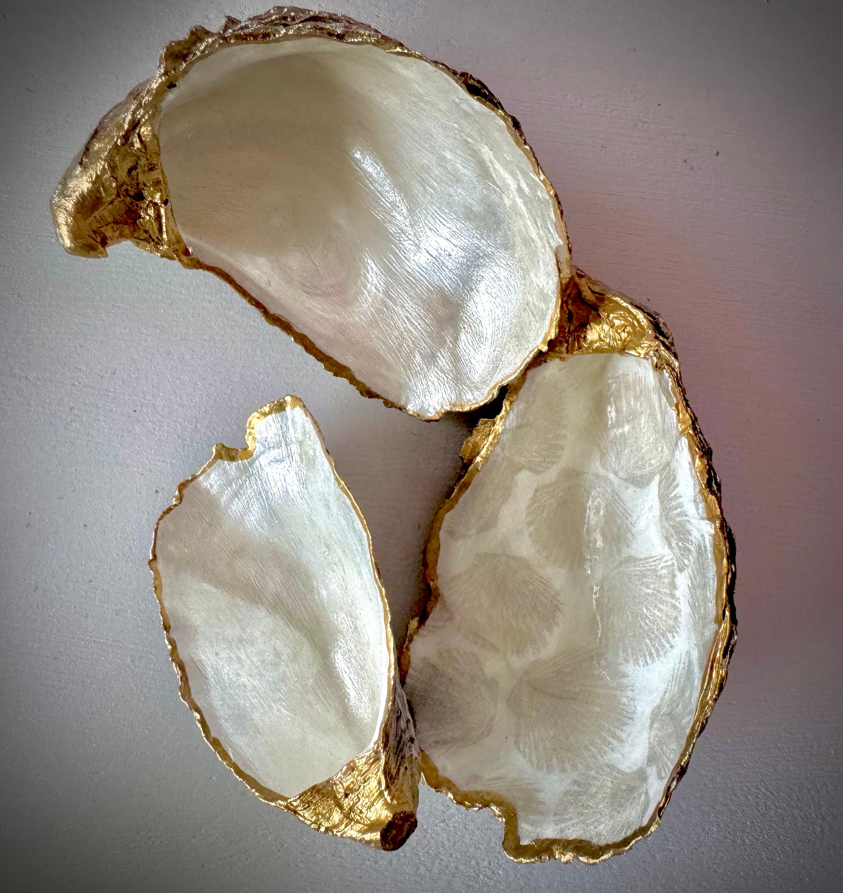 Oyster Shell Hamptons Style Coastal Home Decor Beige and White Clam ...