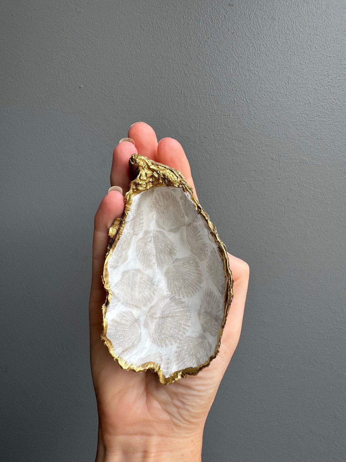 Oyster Shell Hamptons Style Coastal Home Decor Beige and White Clam ...