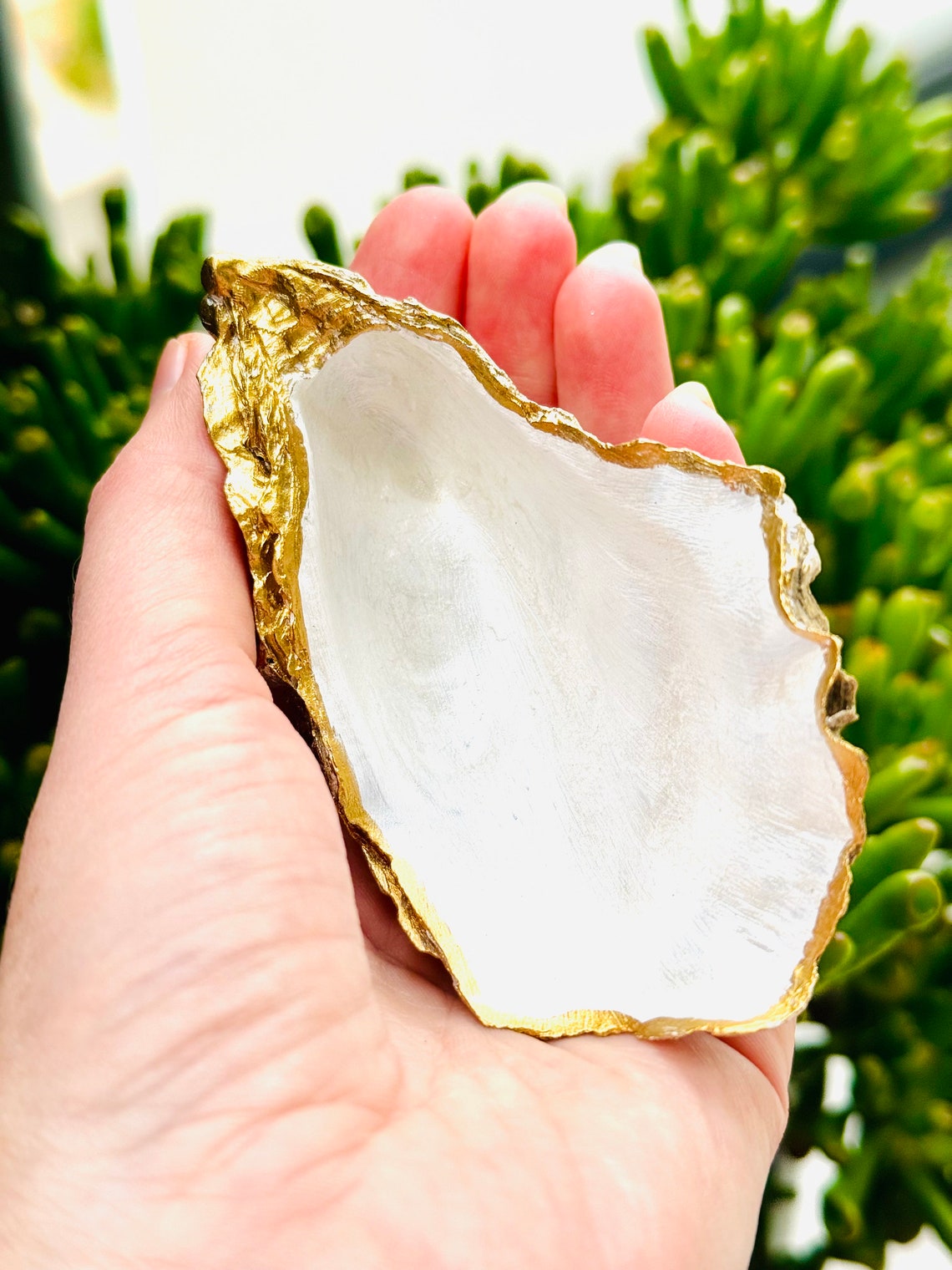 Custom Oyster Shell Dish mini, Small, Medium Large, Extra Large ...