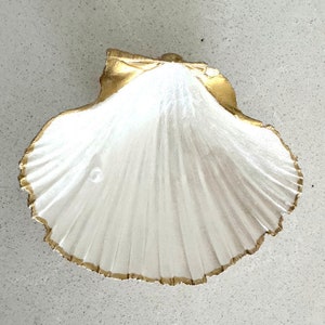 Oysters Shells & Clams for Beach Wedding - White, Peach and Clam ...