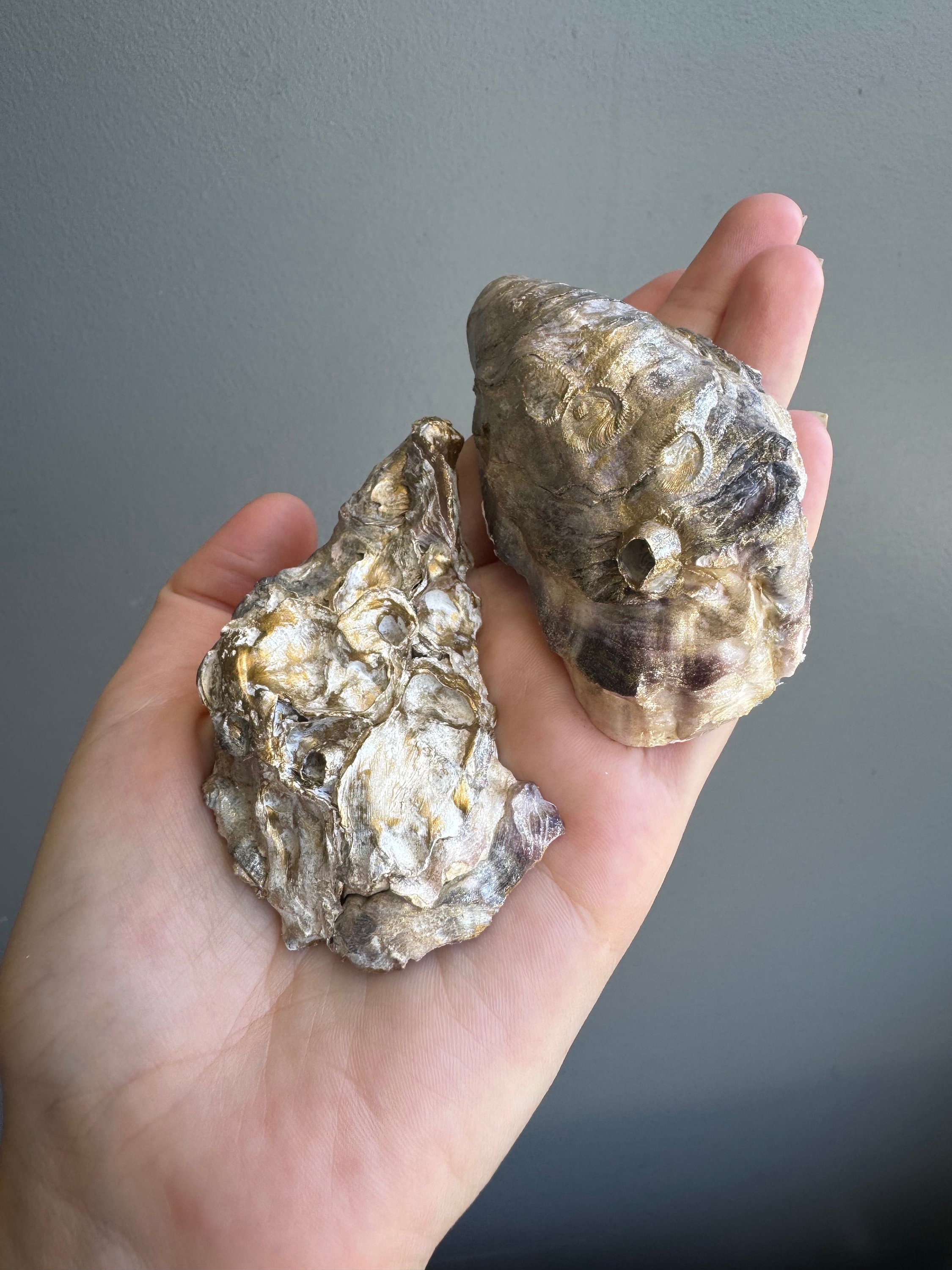 Chinoiserie Koi Fish Ornament Blue and White Salt and Pepper Dishes x2 ...