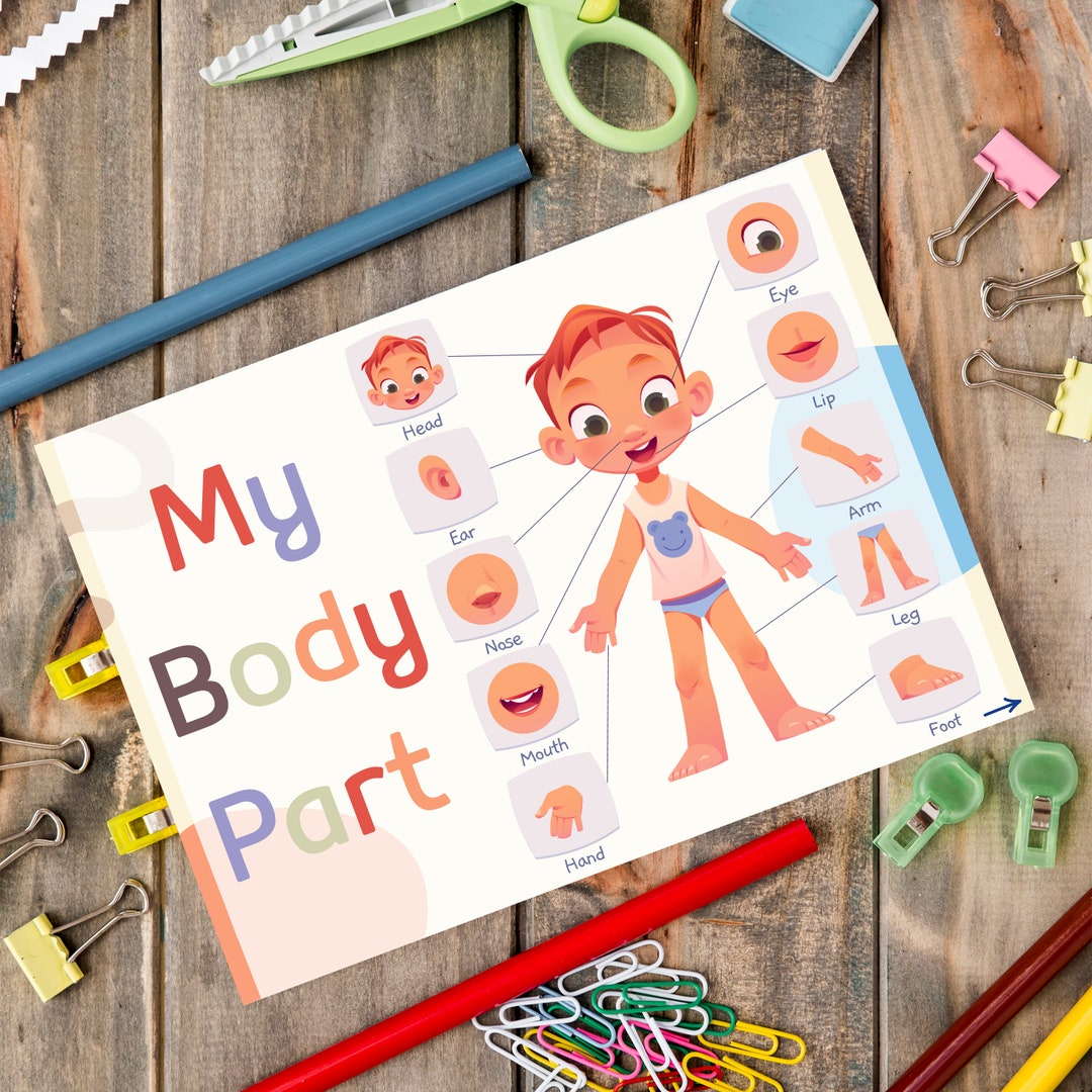 Body Parts Busy Book Printable Montessori Materials - Etsy